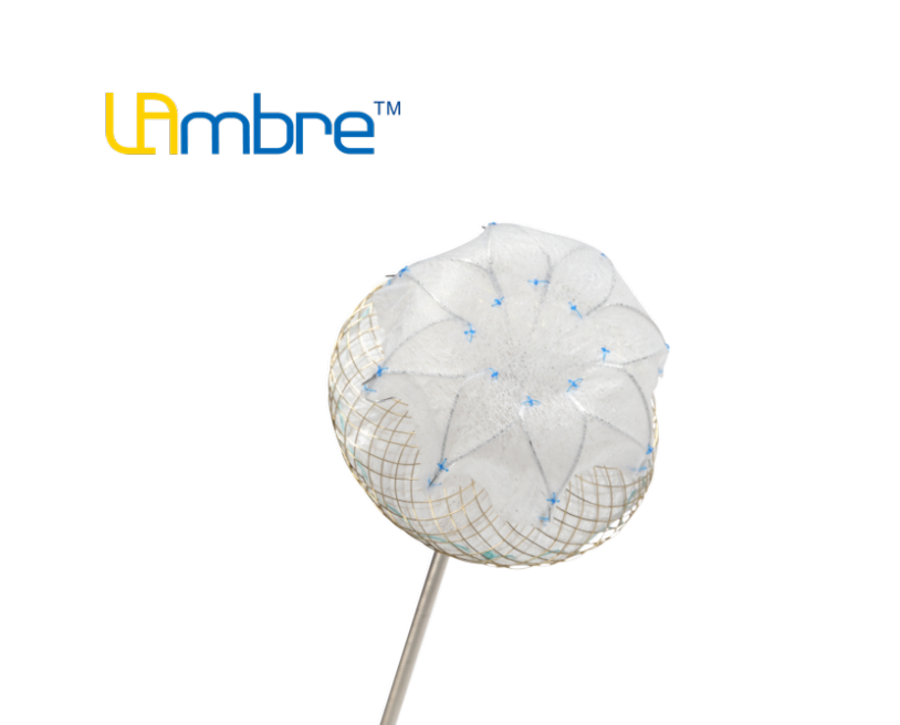 新术式，新组合 | 阜外深圳医院结构心团队运用LAmbre™+LAnavi™创新组合成功开展华南首例纯TEE引导下的LAAC手术